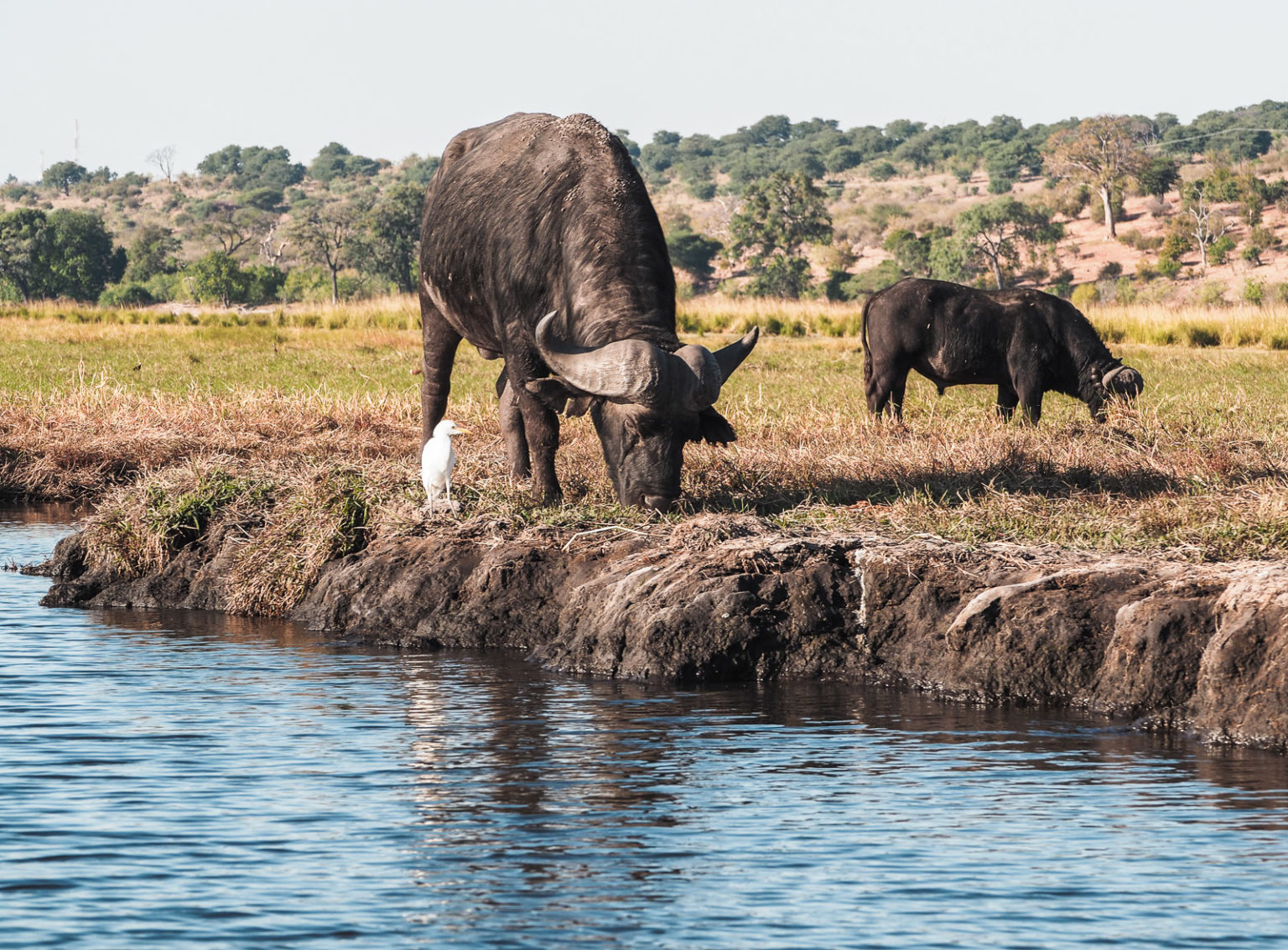 Botswana Reise - 3 Wochen Route & Tipps | the travelogue