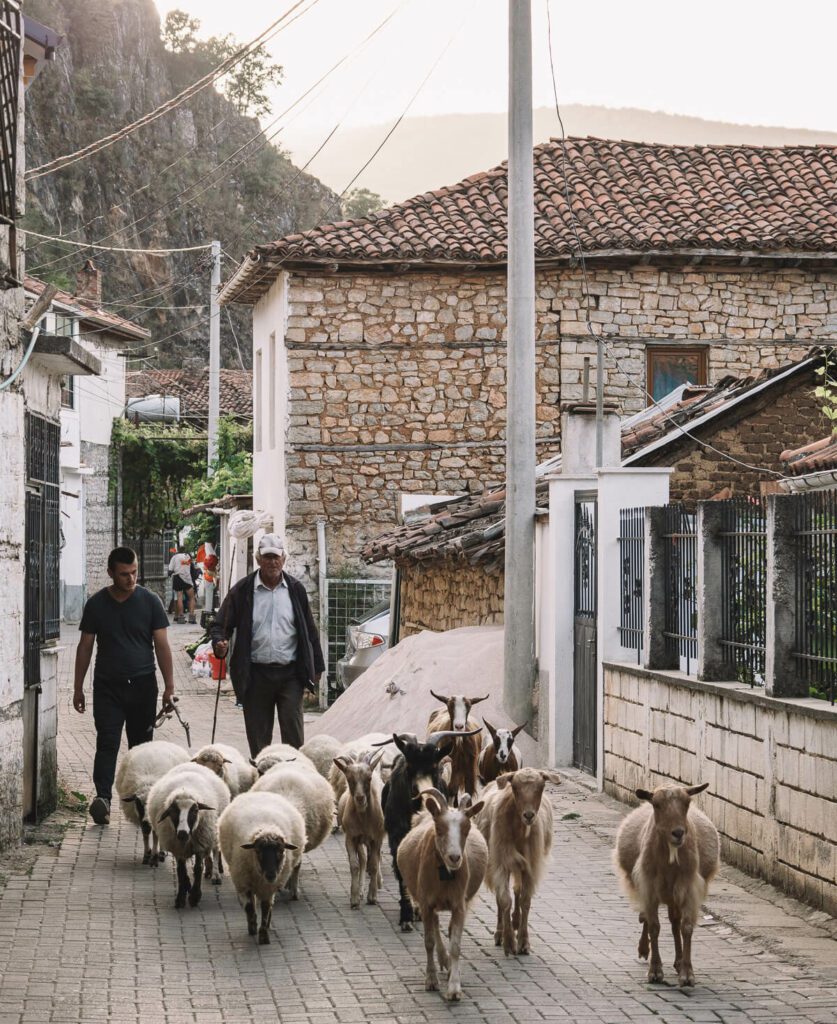 Warum Lin in Albanien eine Reise wert ist | the travelogue